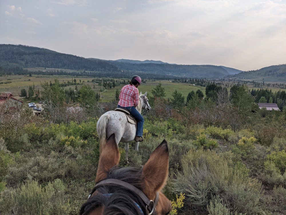 Conflict management & communication skills for adults